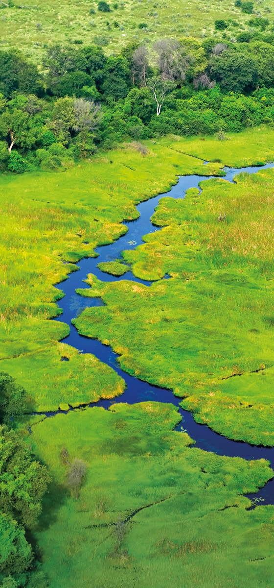Physia - Prodotti - Capelli unti e pesanti