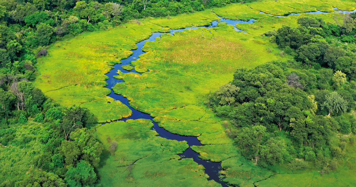 Physia - Prodotti - Cuoio Capelluto - Capelli unti e pesanti